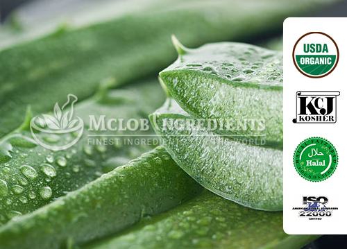 Aloe - Mclob Ingredients - Leading Natural Finest Ingredients Supplier